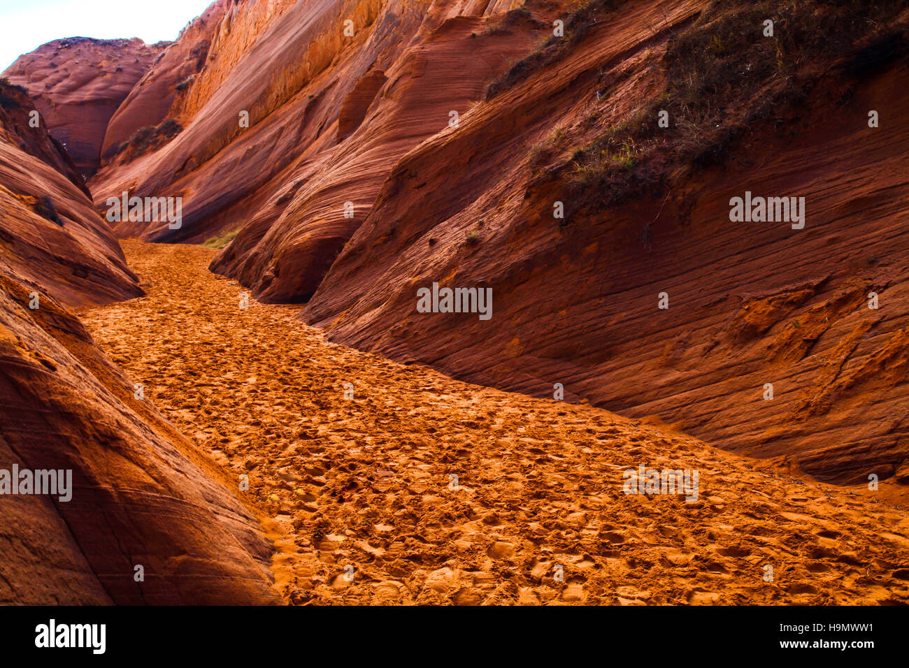 The red sand hill,Shaanxi Province,China Stock Photo - Alamy