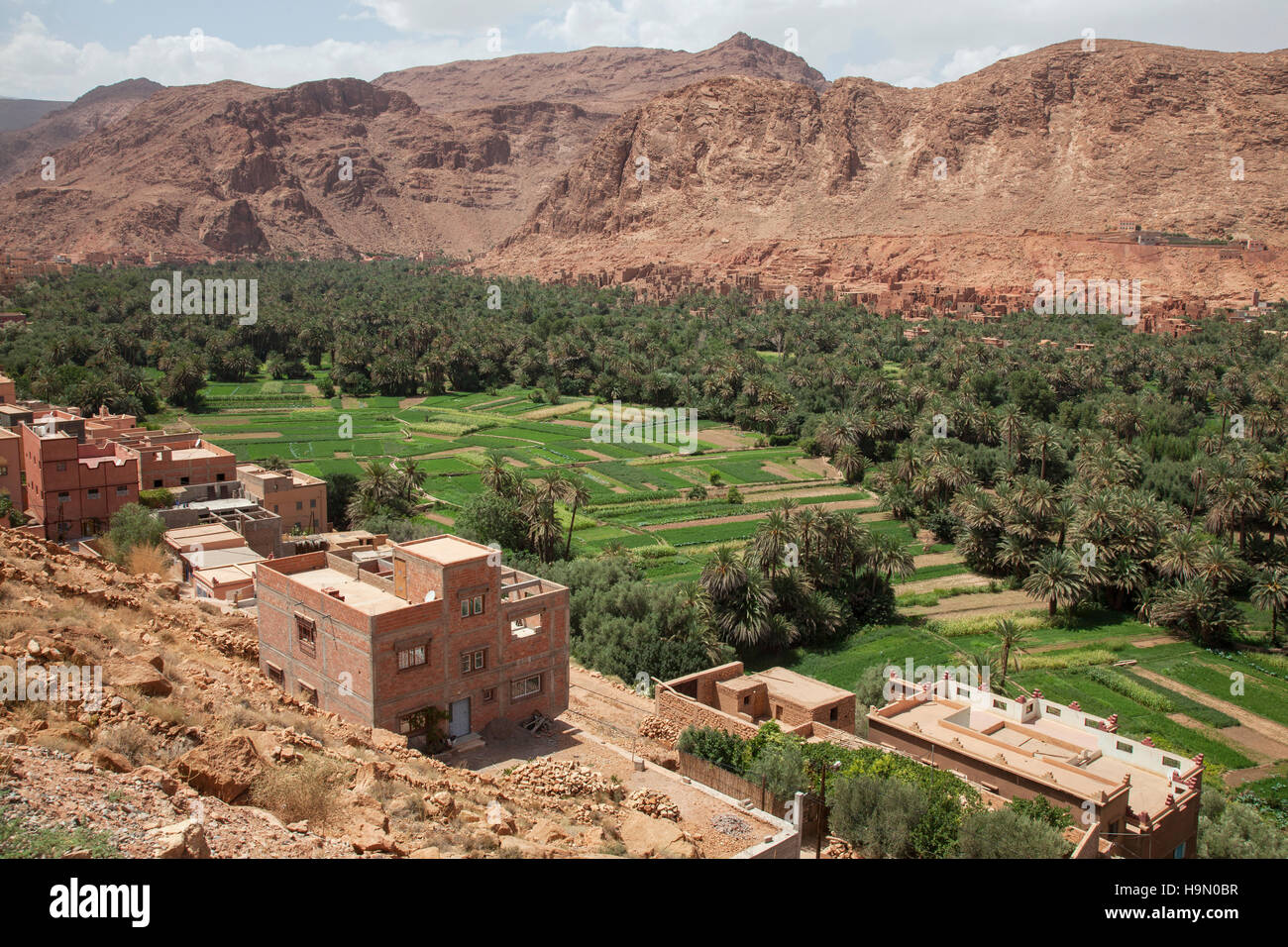 Morocco todra valley oasis hi-res stock photography and images - Alamy
