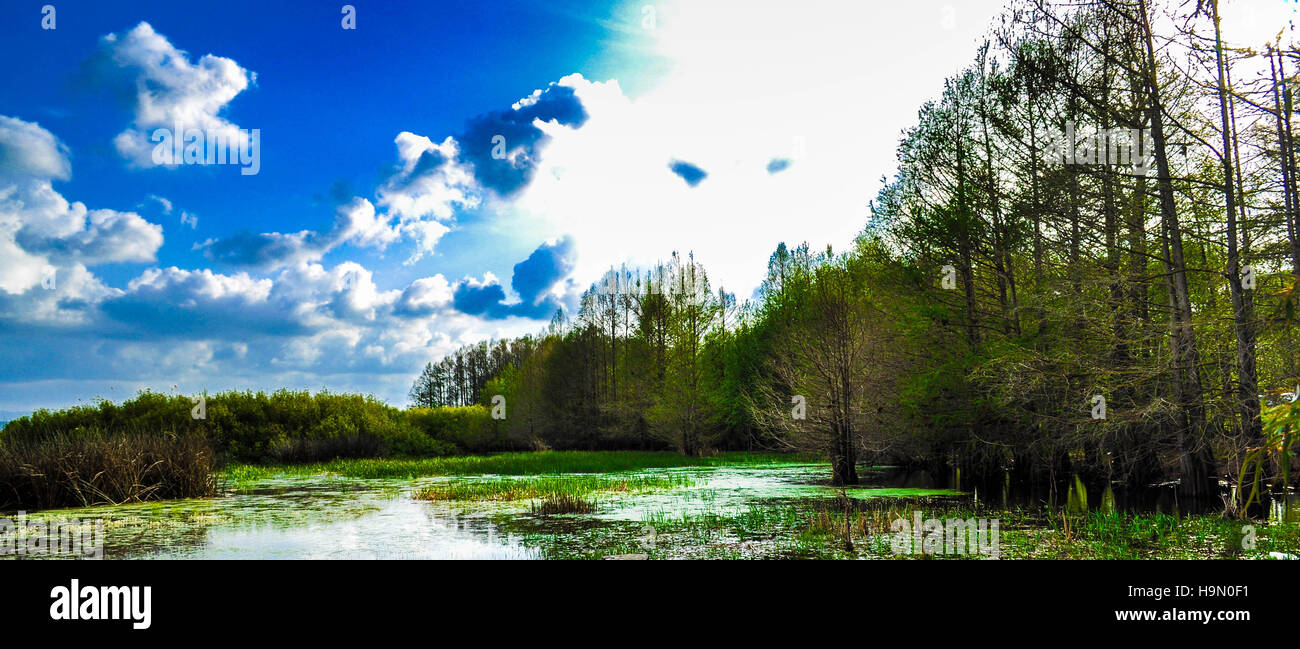 Kala lake hi-res stock photography and images - Alamy