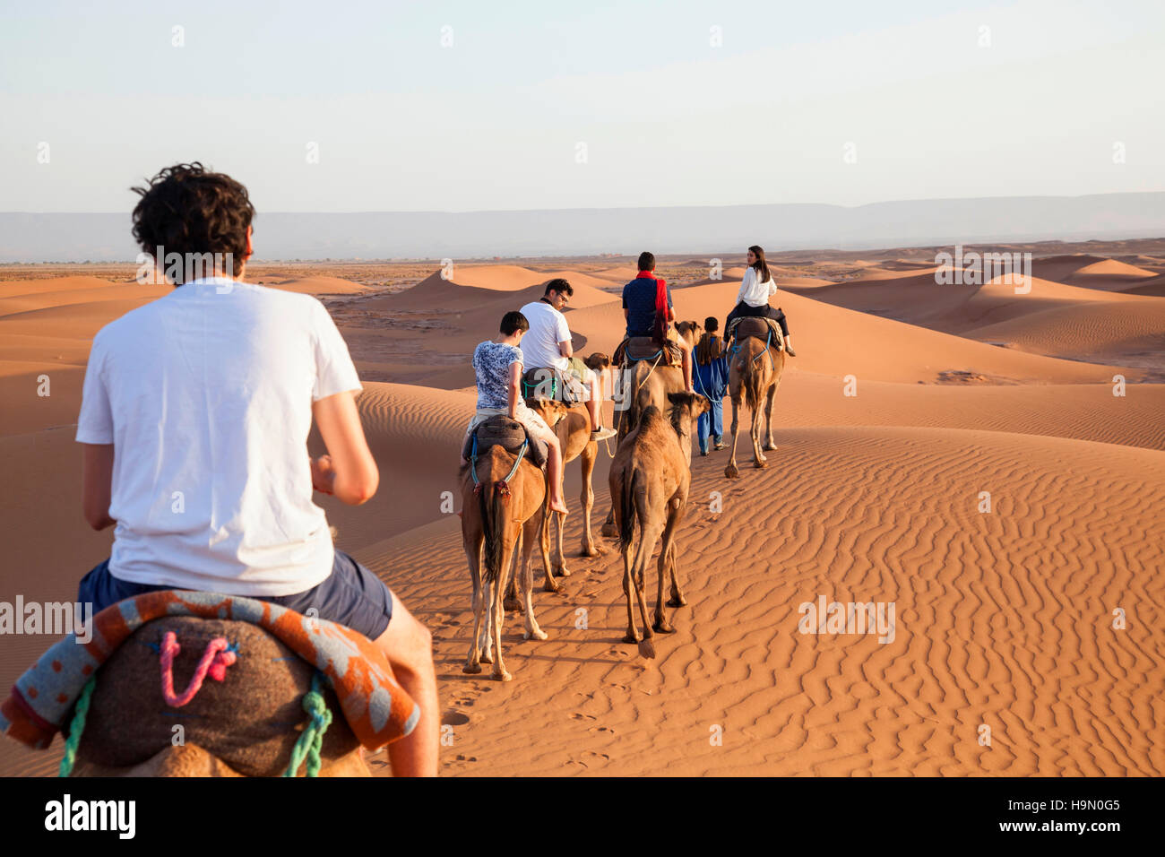 Sahara desert camel hi-res stock photography and images - Alamy
