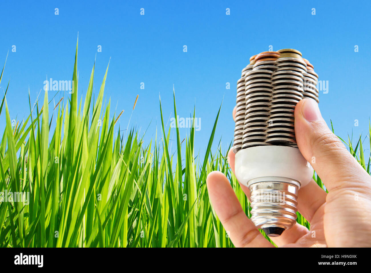 hand holding eco light bulb concept Stock Photo - Alamy