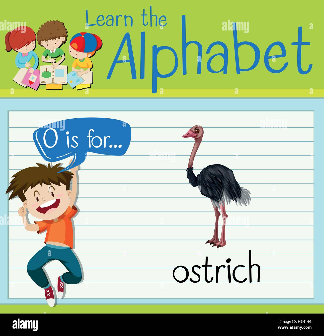 Flashcard letter O is for ostrich illustration Stock Vector Image & Art ...