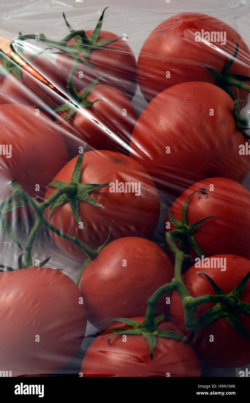 Pack of tomatoes hi-res stock photography and images - Alamy