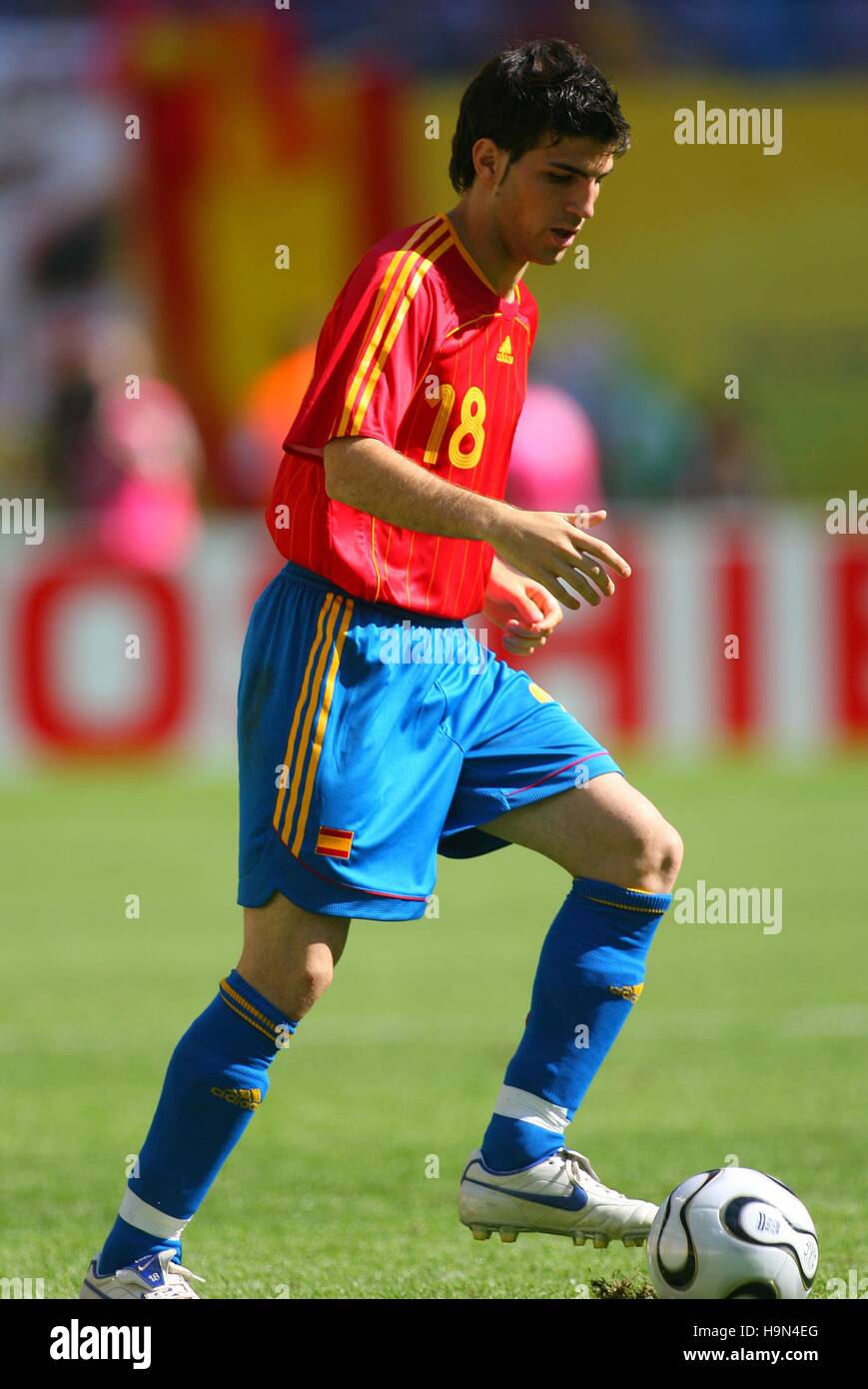 Cesc fabregas world cup hi-res stock photography and images - Alamy