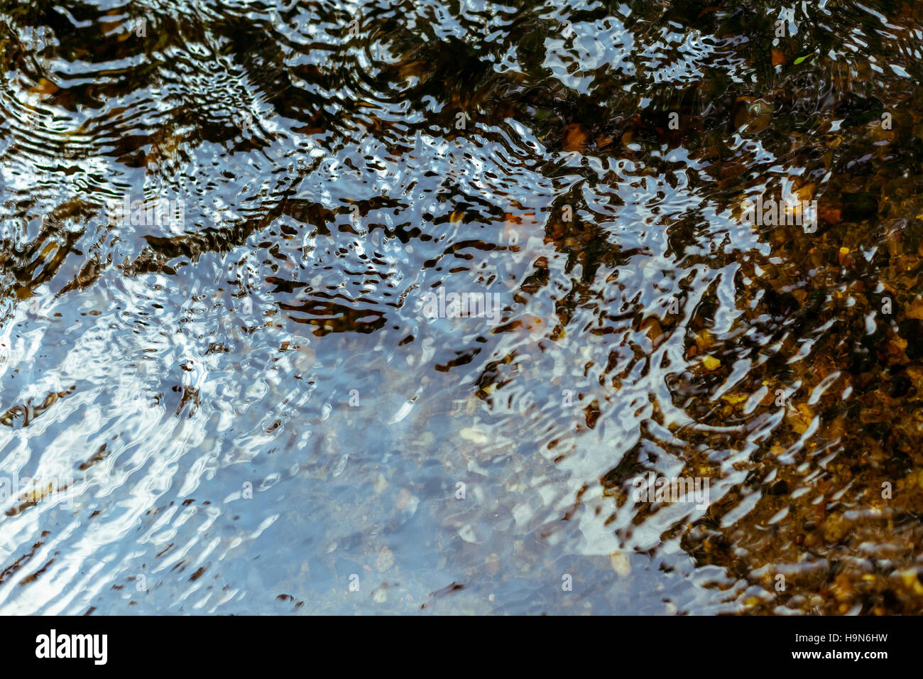 Abstract water texture of a shallow brook in the forest Stock Photo - Alamy