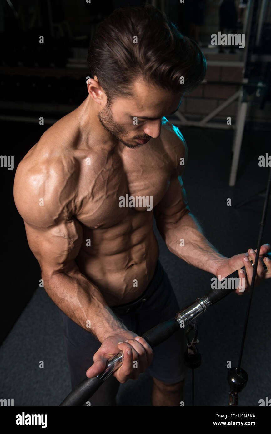 Handsome Muscular Fitness Bodybuilder Doing Heavy Weight Exercise For ...