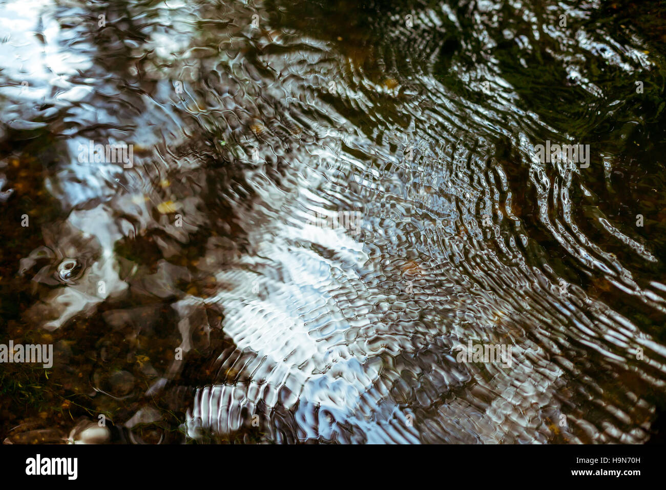 Abstract water texture of a shallow brook in the forest Stock Photo - Alamy