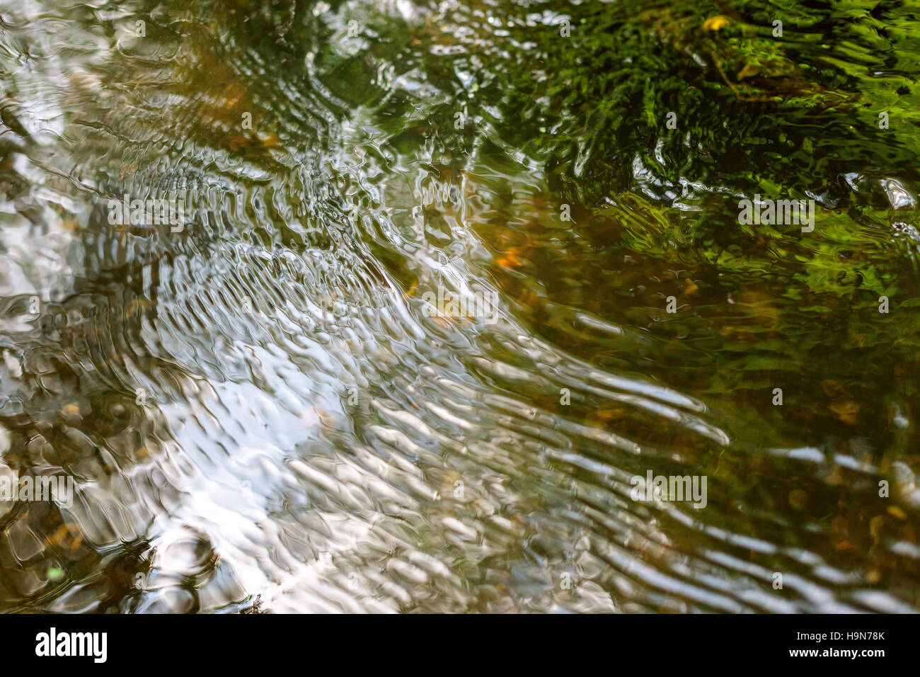 Abstract water texture of a shallow brook in the forest Stock Photo - Alamy
