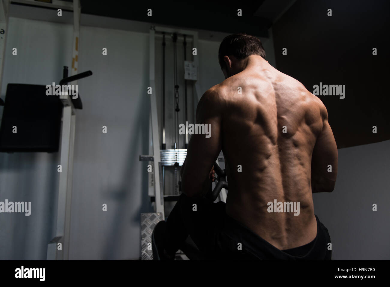 Handsome Bodybuilder Doing Heavy Weight Exercise For Back On Machine ...