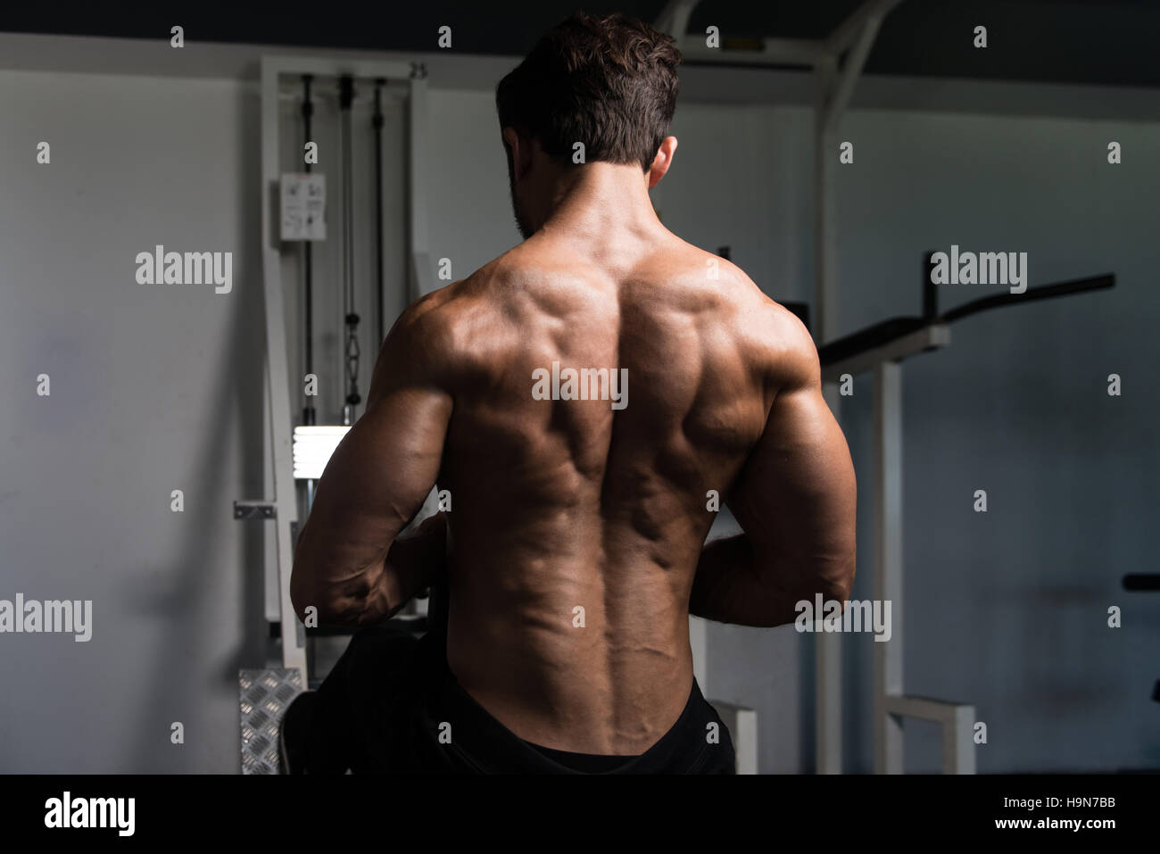Handsome Bodybuilder Doing Heavy Weight Exercise For Back On Machine ...