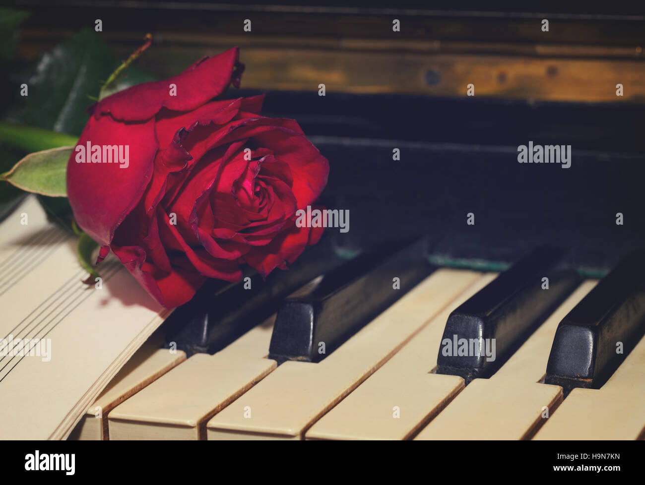 Red rose on piano keyboard hi-res stock photography and images - Alamy