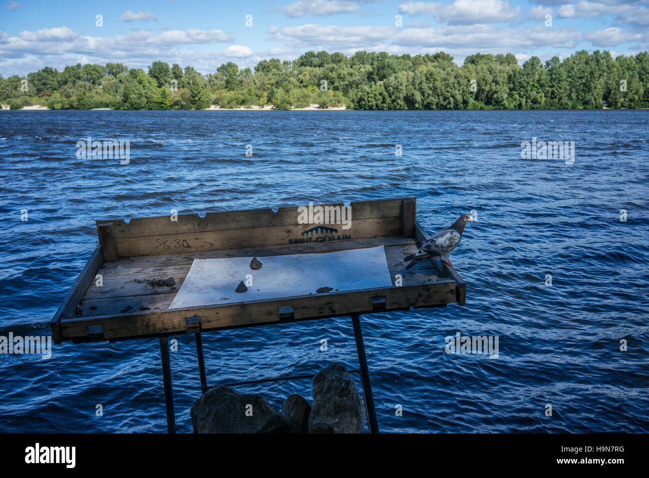 Ukraine bird hi-res stock photography and images - Alamy