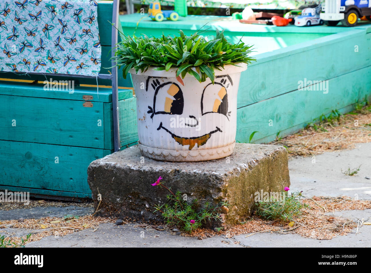 Face painted on plant pot hi-res stock photography and images - Alamy