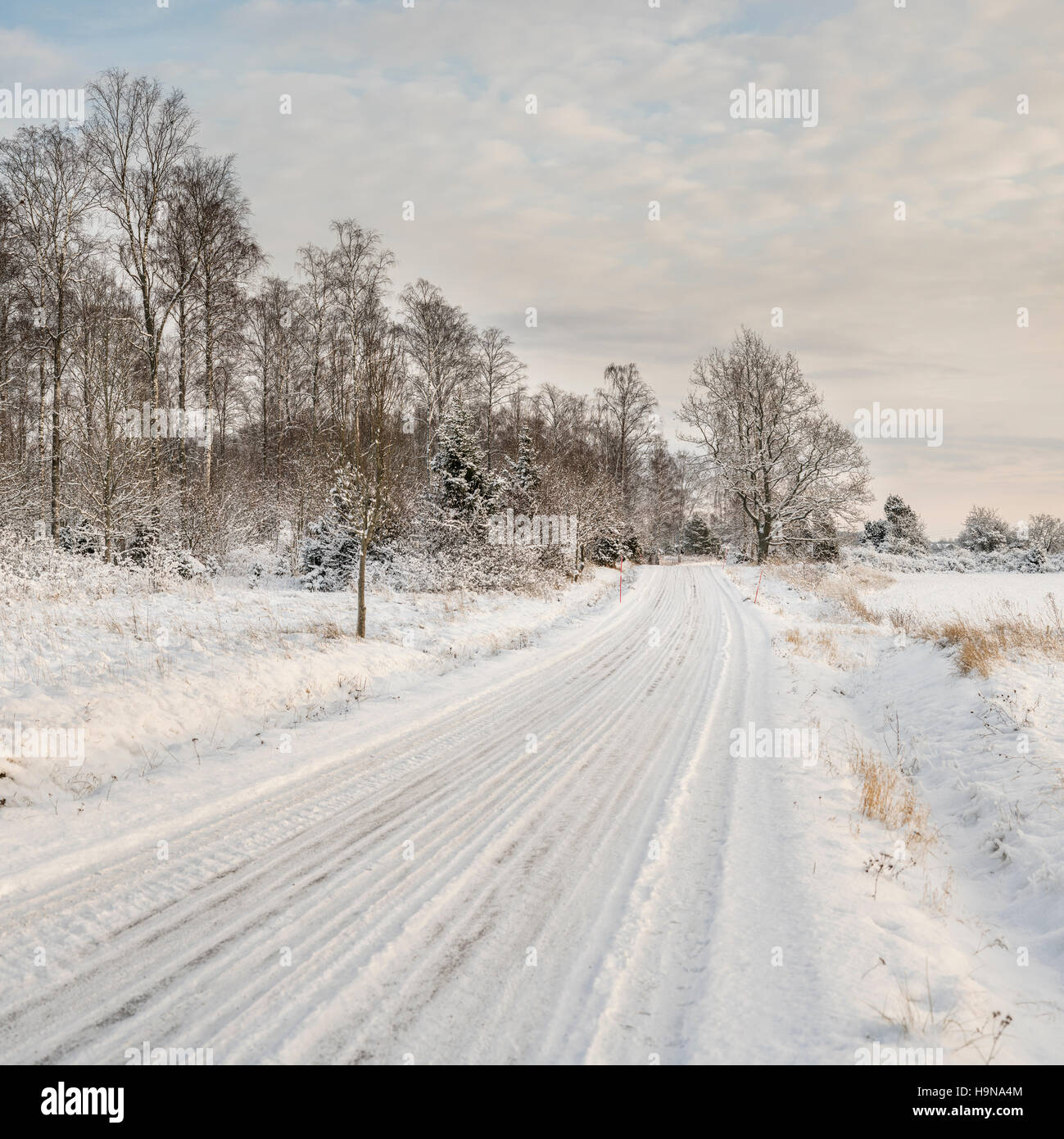 Frost scandinavia hi-res stock photography and images - Alamy