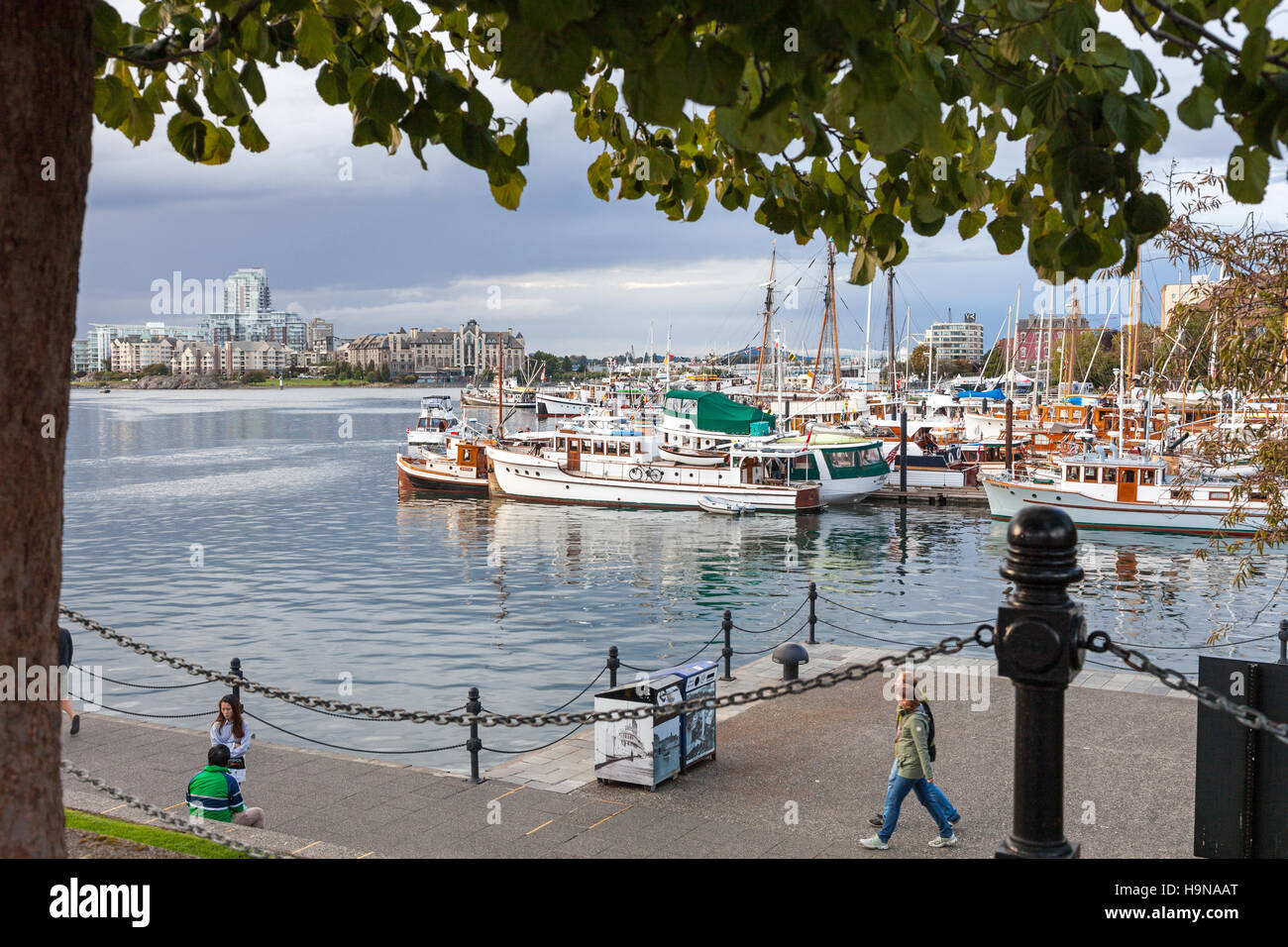 The inner harbour harbor Victoria boats boat capital of British ...