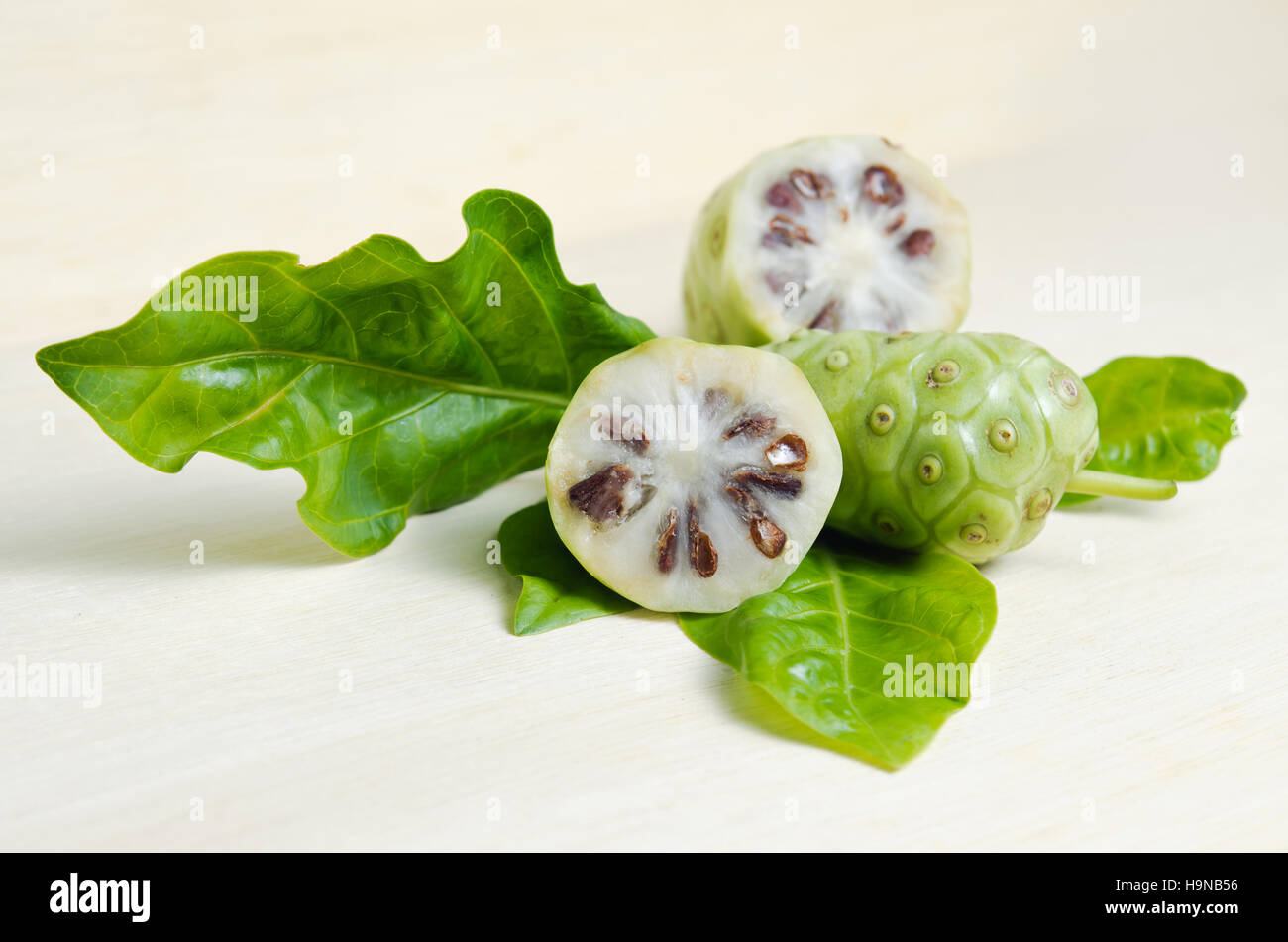 Noni (Also named as Morinda Citrifolia, Rubiaceae Noni, great morinda ...