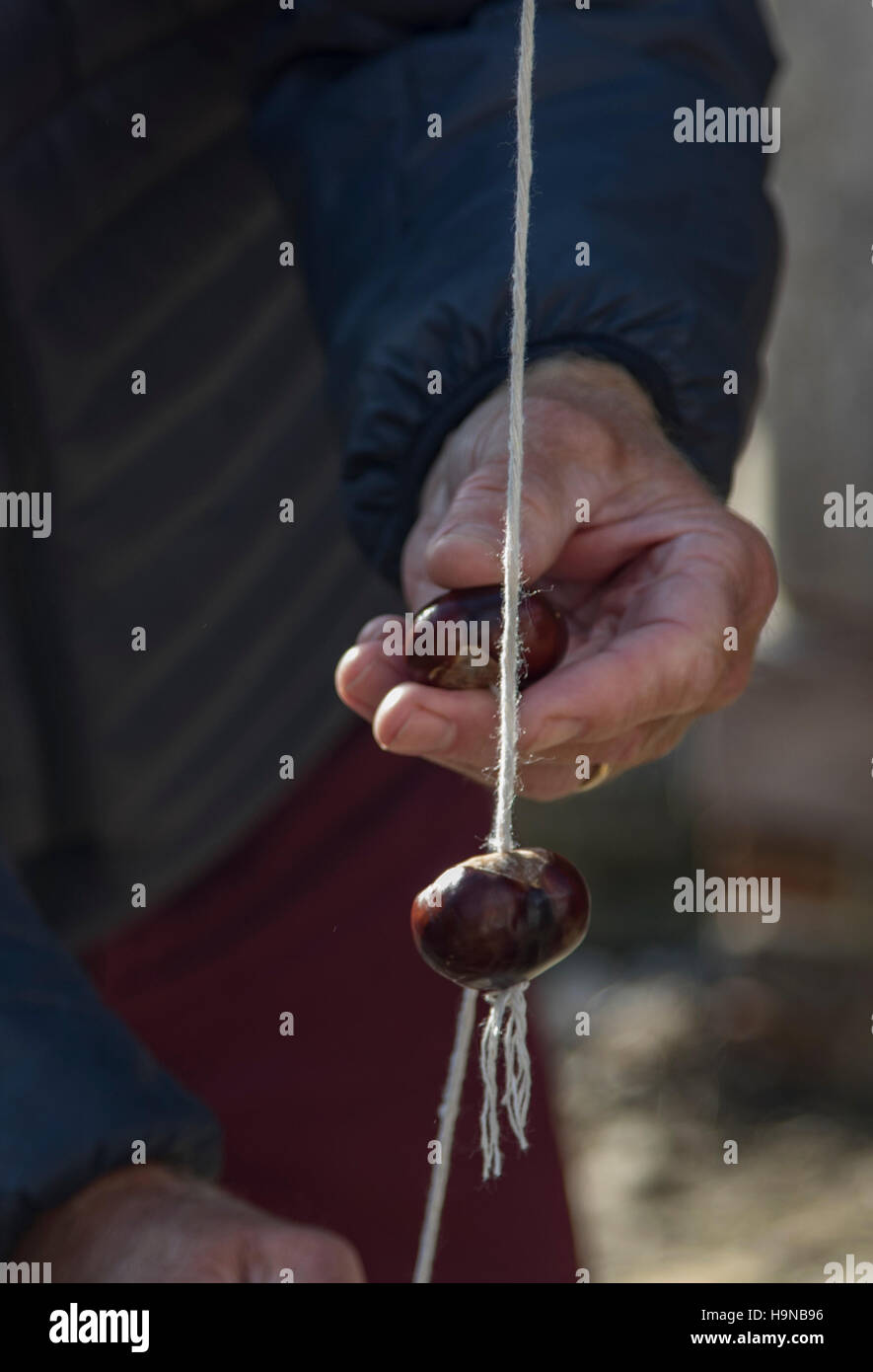 People playing conkers Stock Photo - Alamy