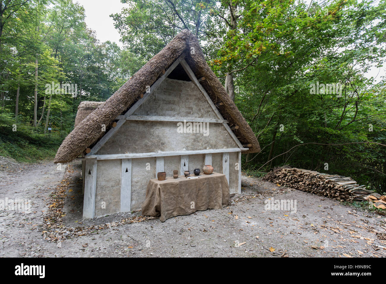 Anglo Saxon house recreated at Weald & Downland Museum, Chichester ...