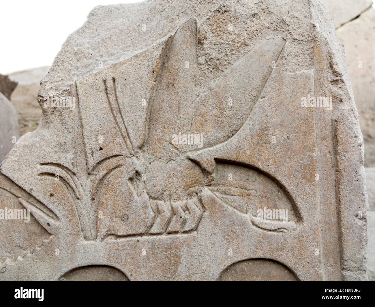 Pharaoh ramesses xi hi-res stock photography and images - Alamy