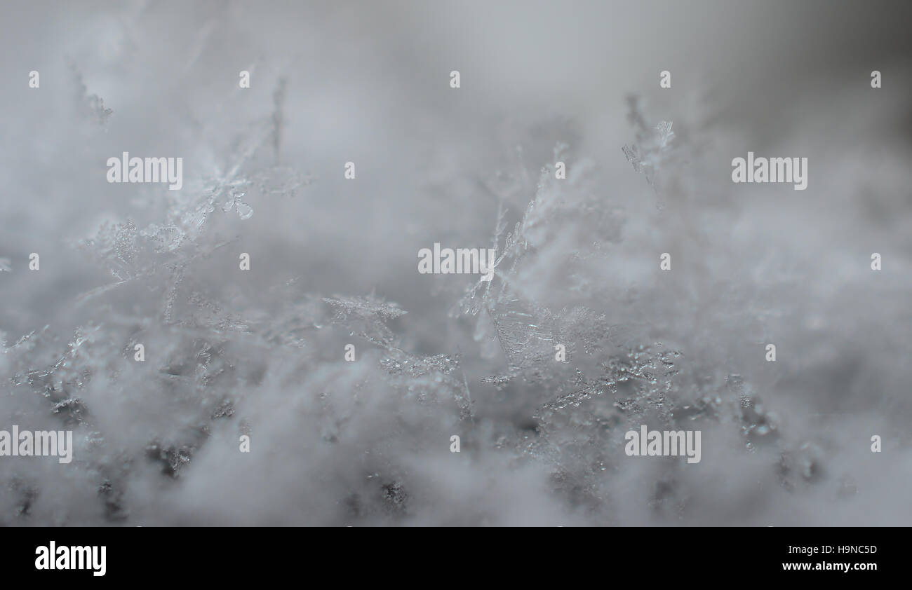 Snowflakes detailed close up Stock Photo - Alamy