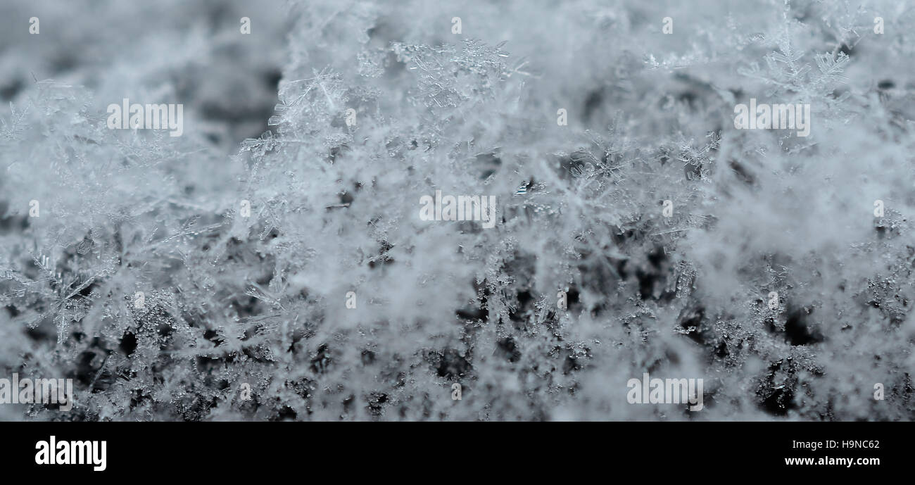 Snowflakes detailed close up Stock Photo - Alamy