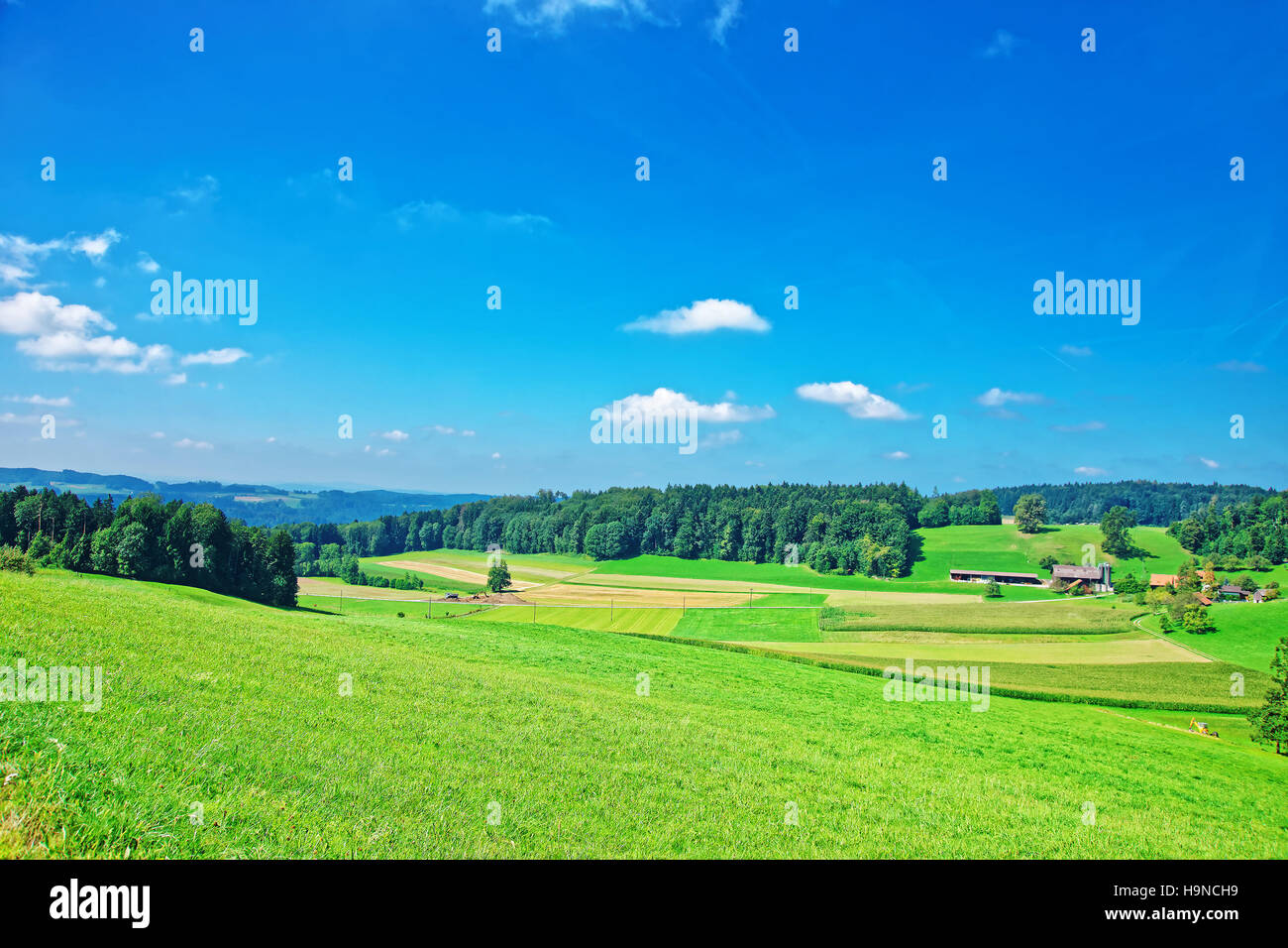 Nature of Village in Turbenthal with Swiss Alps in Winterthur district ...