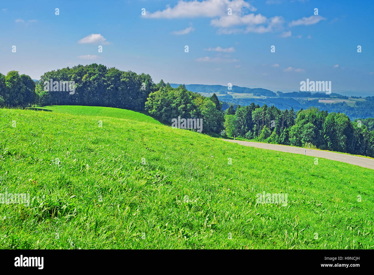 Nature of Village in Turbenthal with Swiss Alps at Winterthur district ...