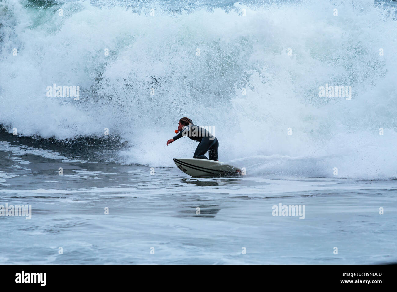 California Surfer Rodeo Beach near the Golden Gate Bridge Stock Photo ...