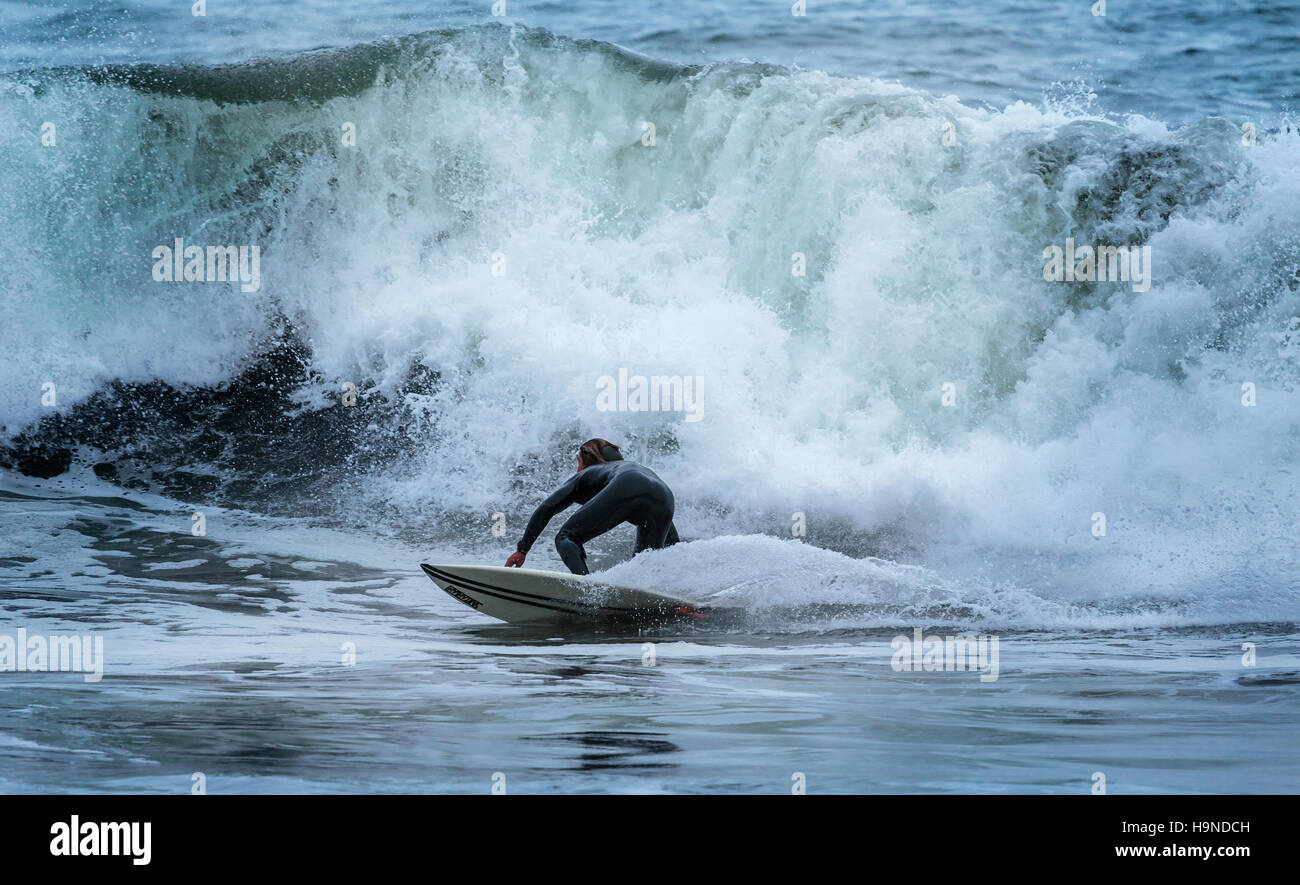 California Surfer Rodeo Beach near the Golden Gate Bridge Stock Photo ...