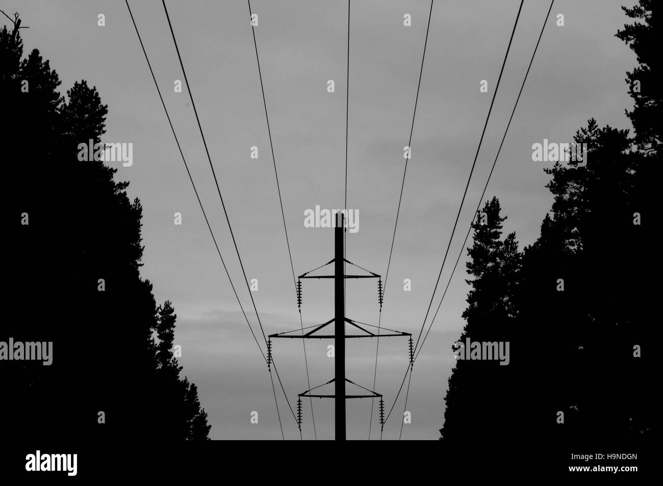 Electricity, Power, Power poles, Electricity poles, Powerline, Poles ...