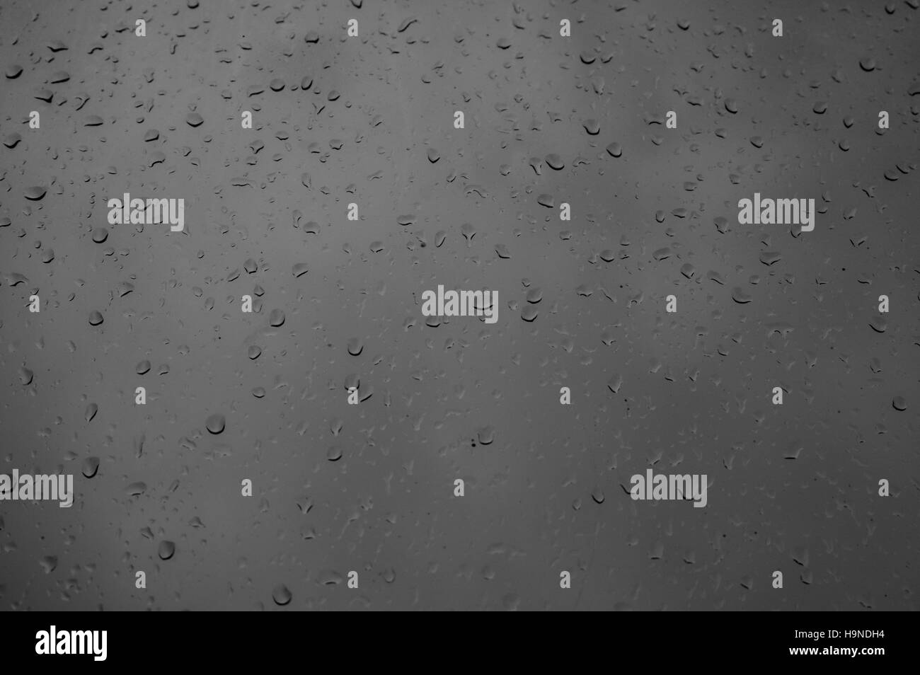 Rain drops, Rainy, Rain, Drops, Window, Mood, Moody, Rainy day Stock ...