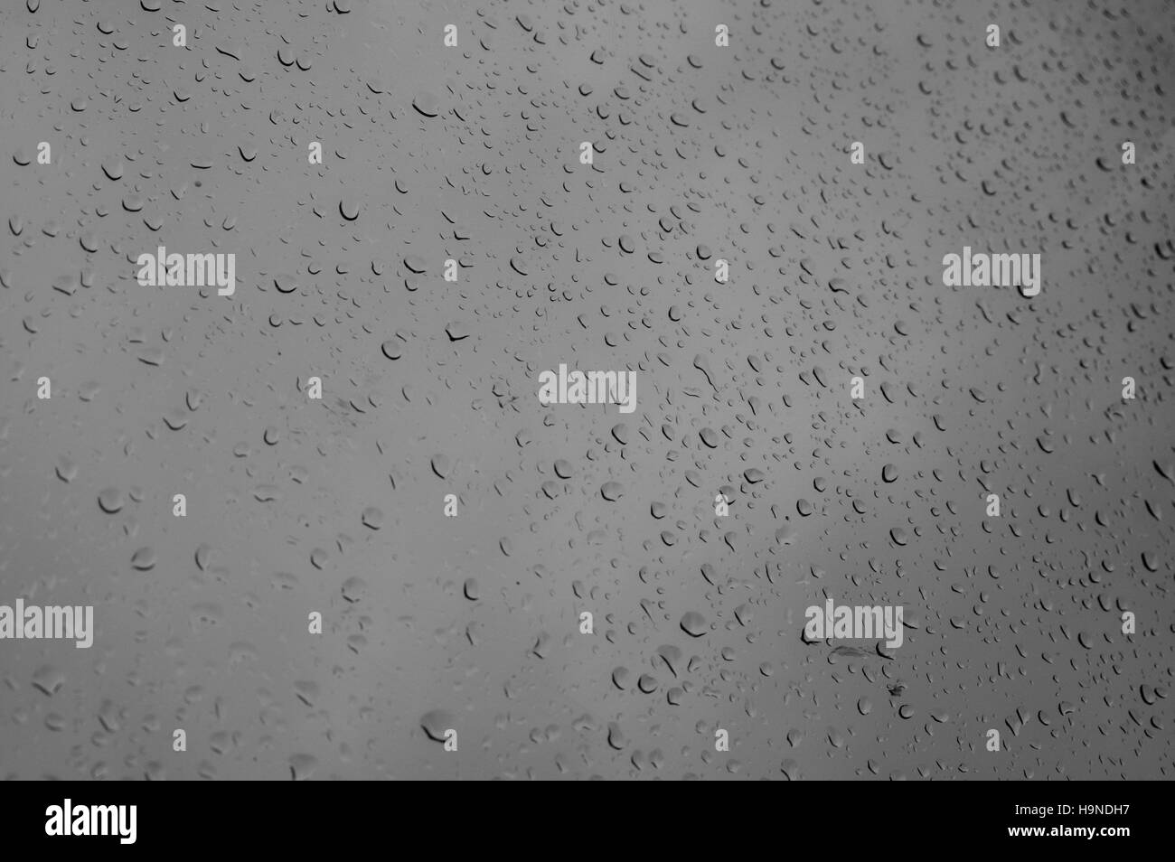 Rain drops, Rainy, Rain, Drops, Window, Mood, Moody, Rainy day Stock ...