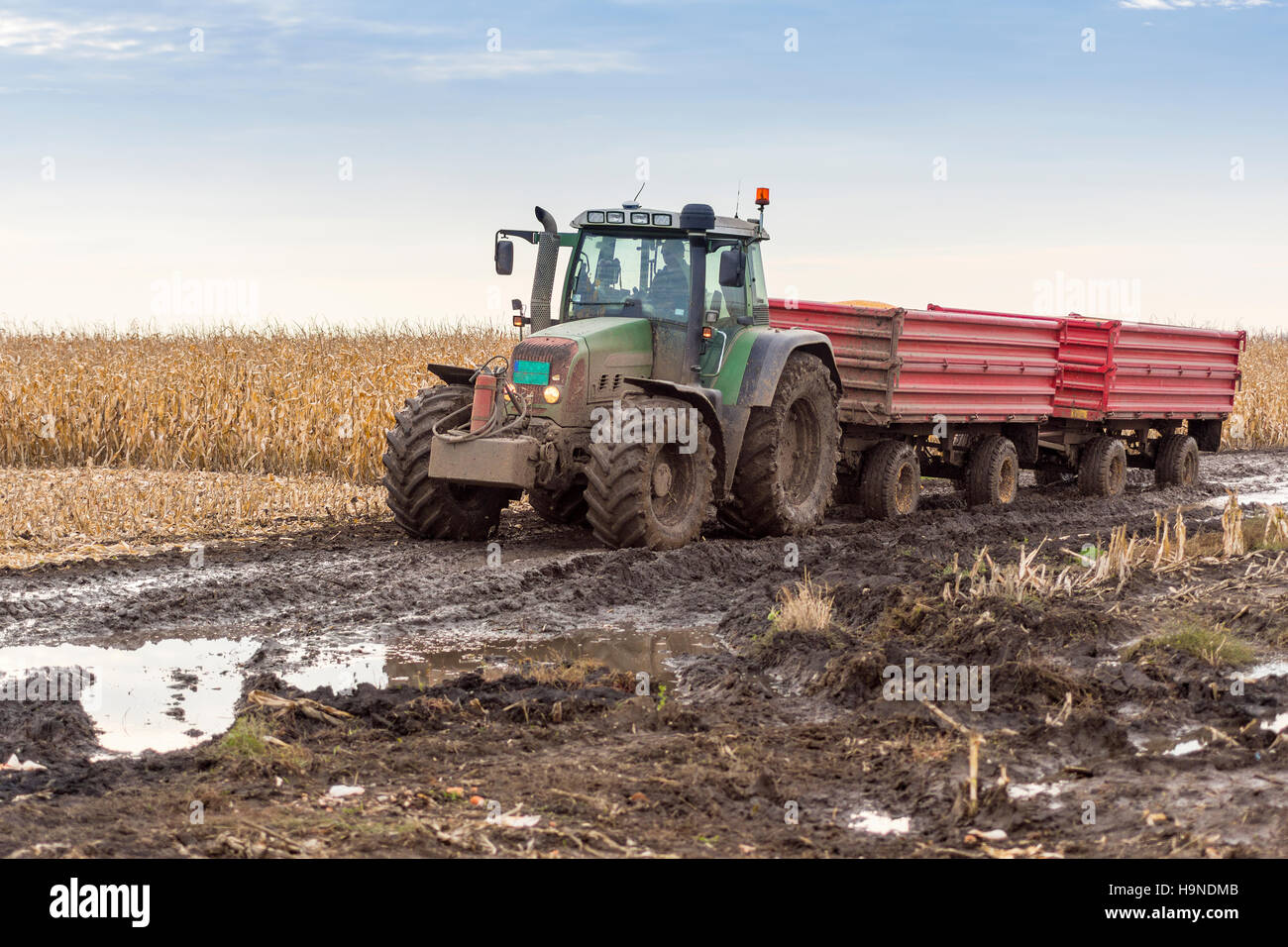 Tractor with Trailers in the Mud on the Harvested Field Stock Photo - Alamy