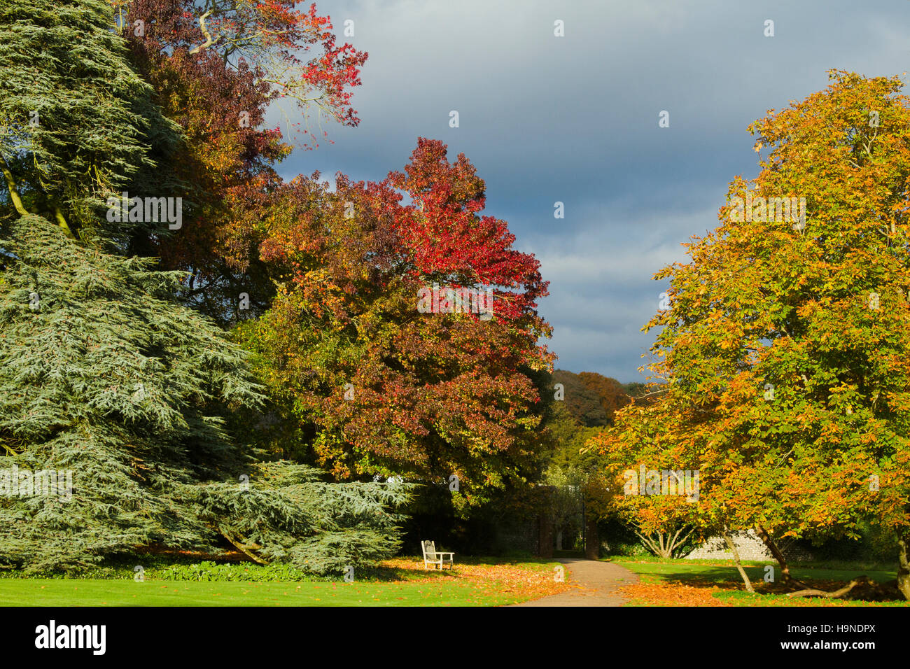 West dean gardens hi-res stock photography and images - Alamy