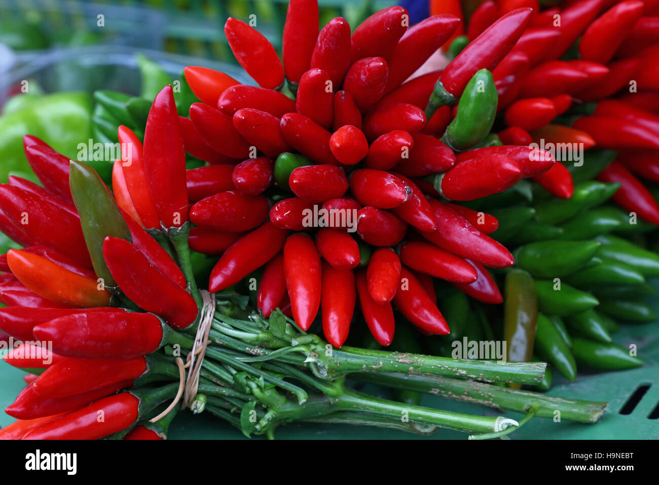 Red hot chili and green jalapeno peppers bunches at retail farmers ...