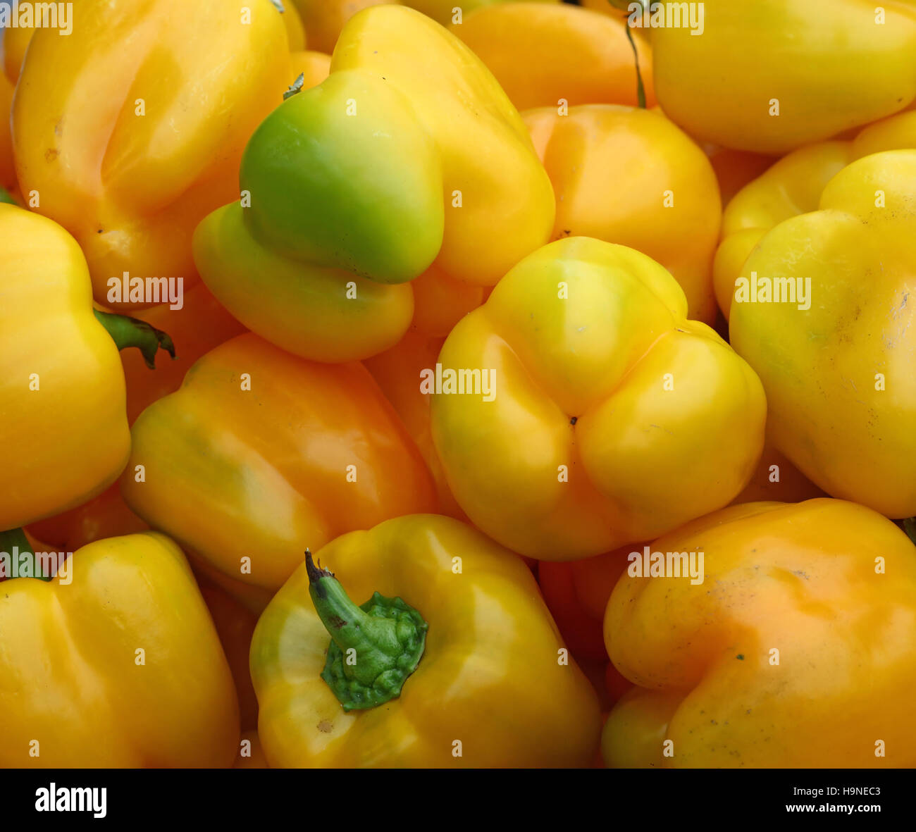 Yellow sweet bell paprika peppers at retail farmers market stall ...