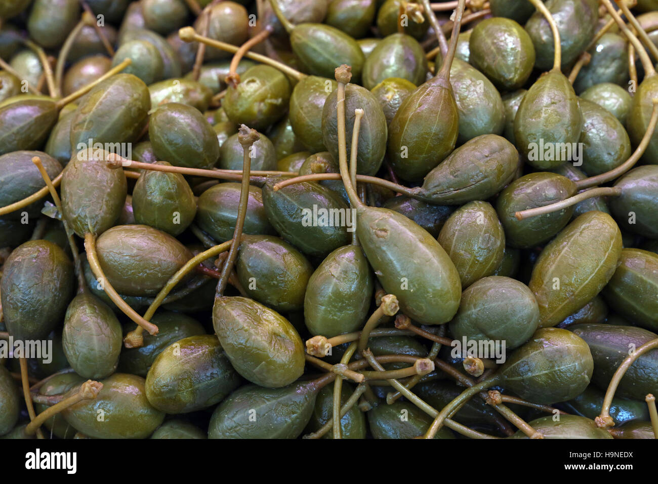 Green pickled big capers (fruits, berries, caperberries) close up ...