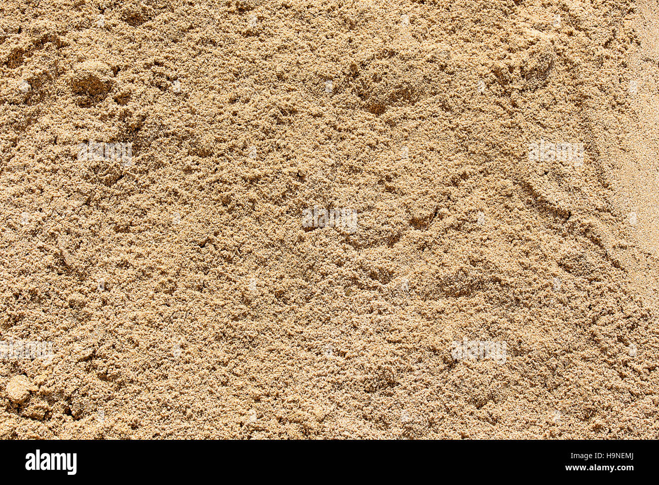 the sand of a beach, Italy Stock Photo - Alamy