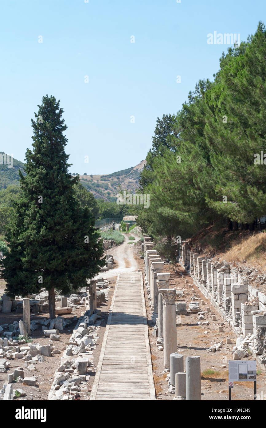 Turkey Ephesus Ruins Of The Ancient Roman City Stock Photo Alamy