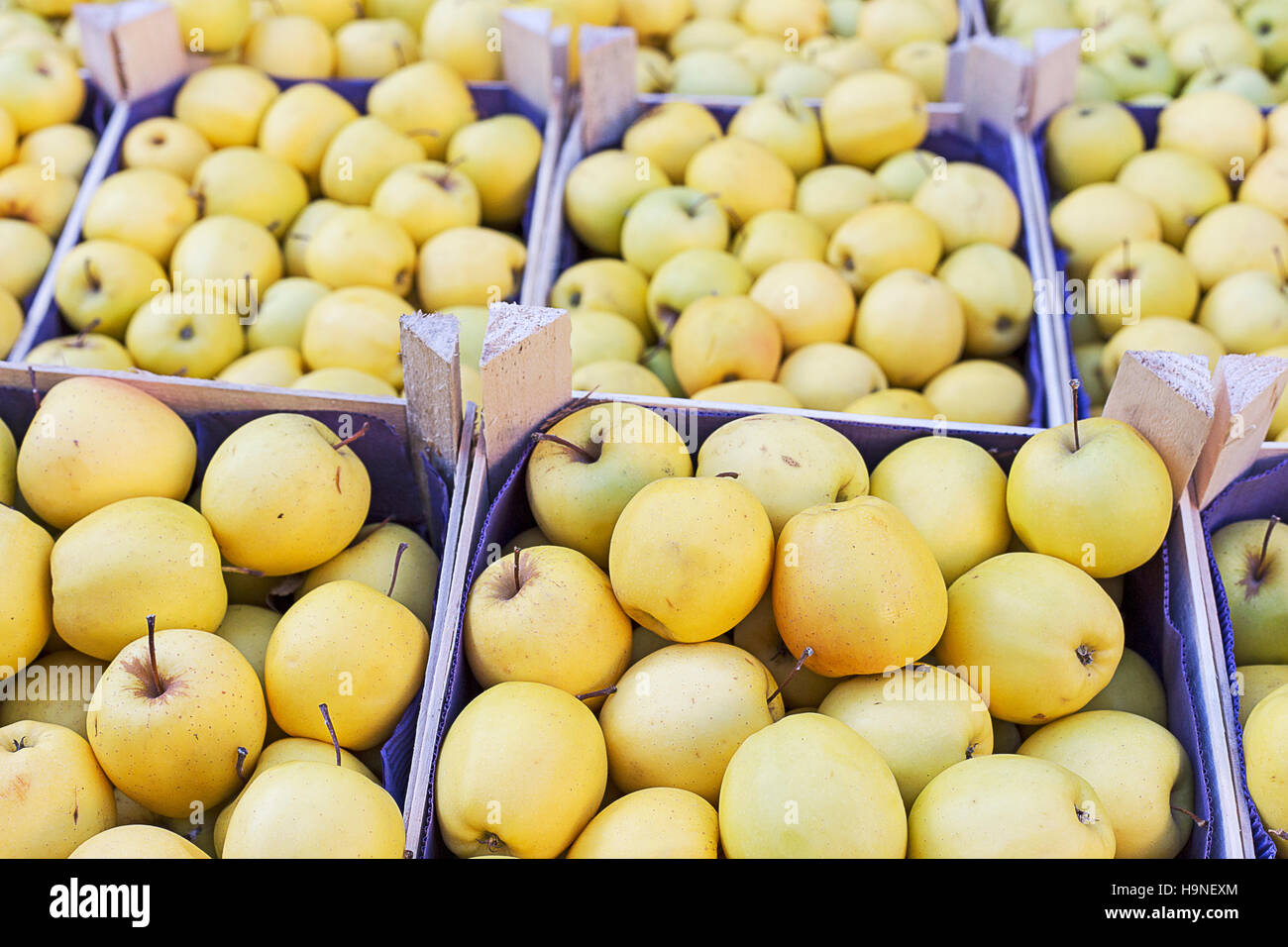 Apple showcase hi-res stock photography and images - Alamy