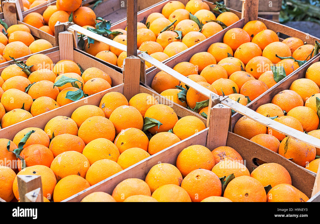 Oranges Sicily High Resolution Stock Photography and Images - Alamy