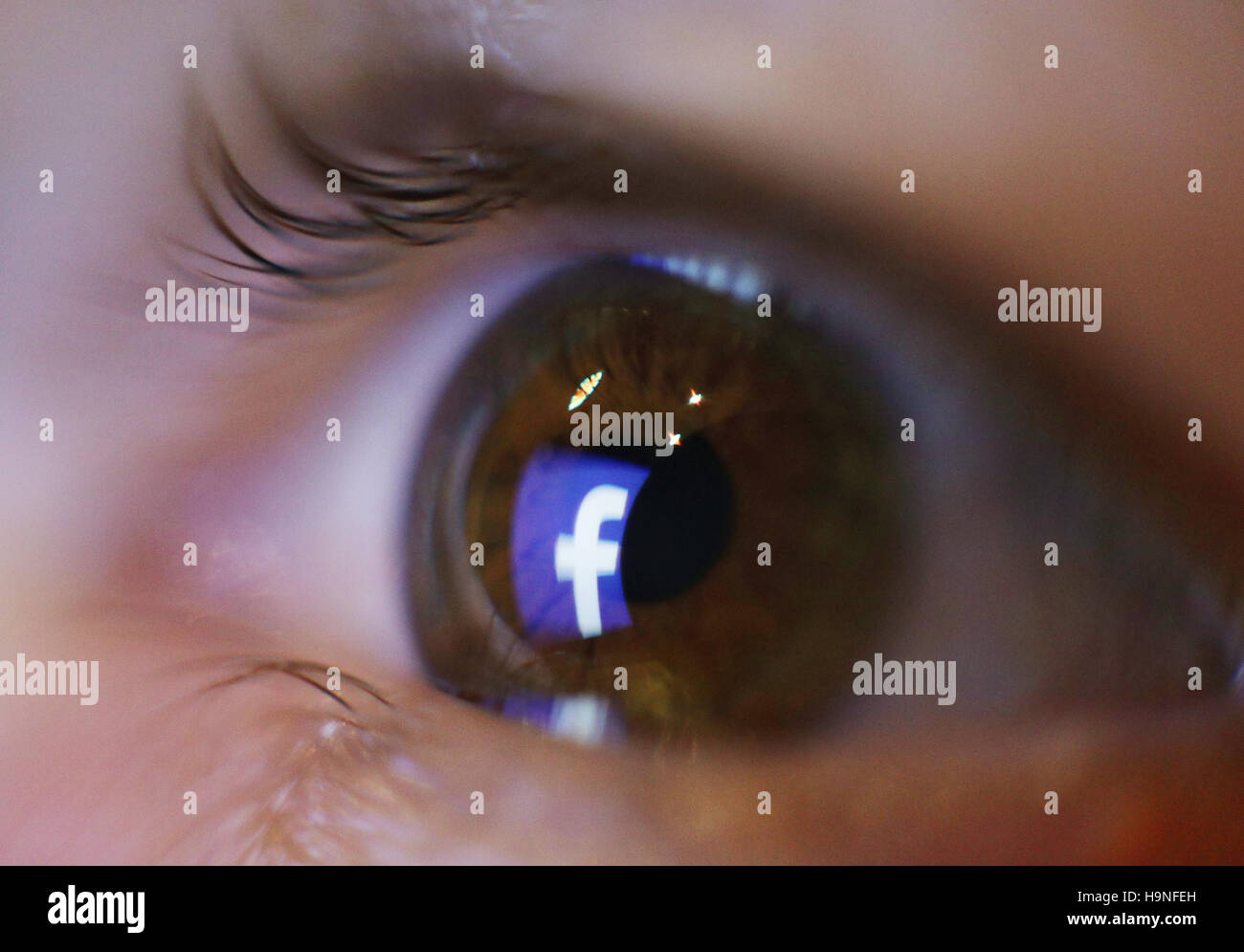 The logo of social media and networking site Facebook is reflected in ...