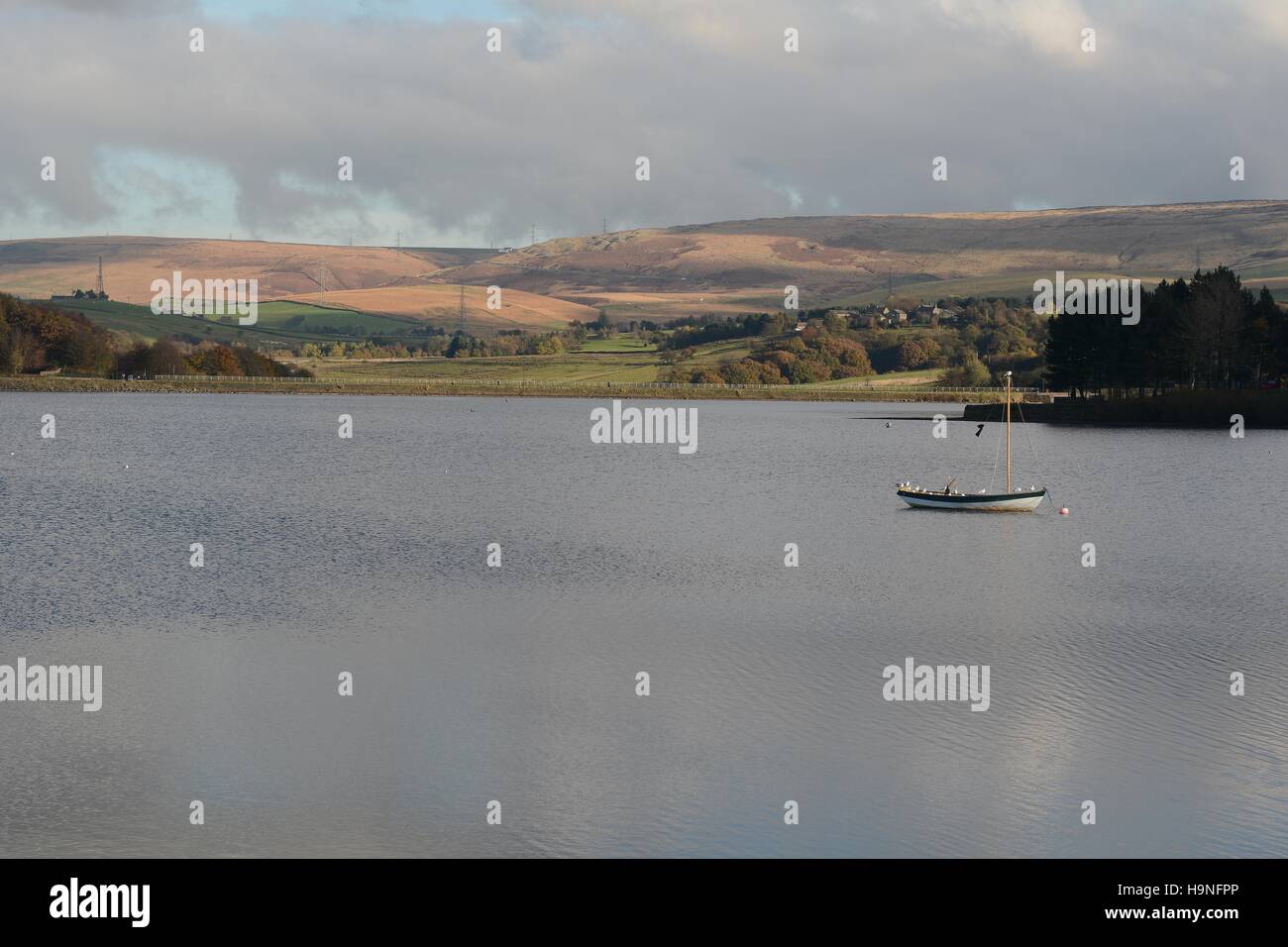 Hollingworth Lake Nature High Resolution Stock Photography and Images ...