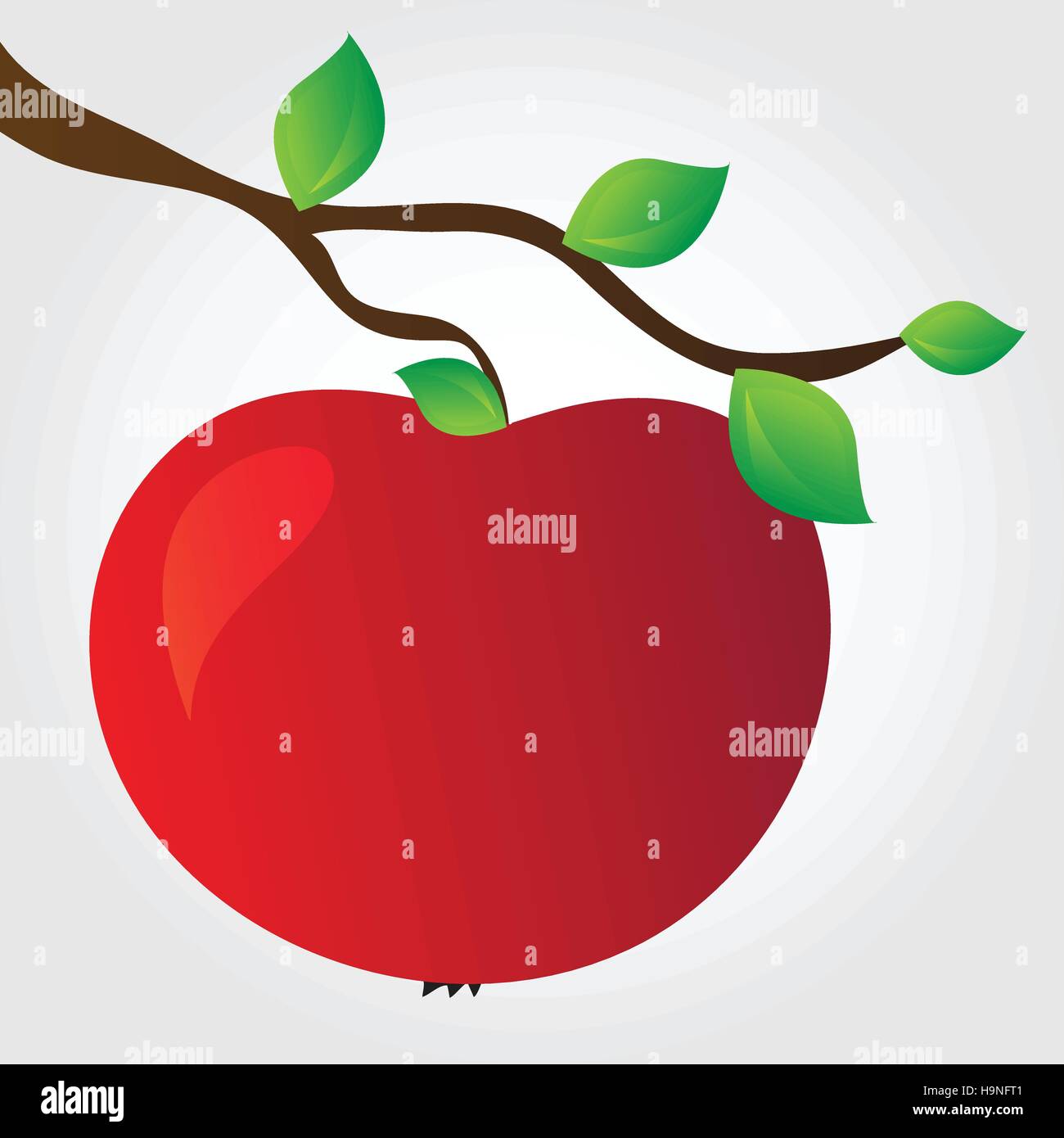 Red delicious apple branch Stock Vector Images - Alamy