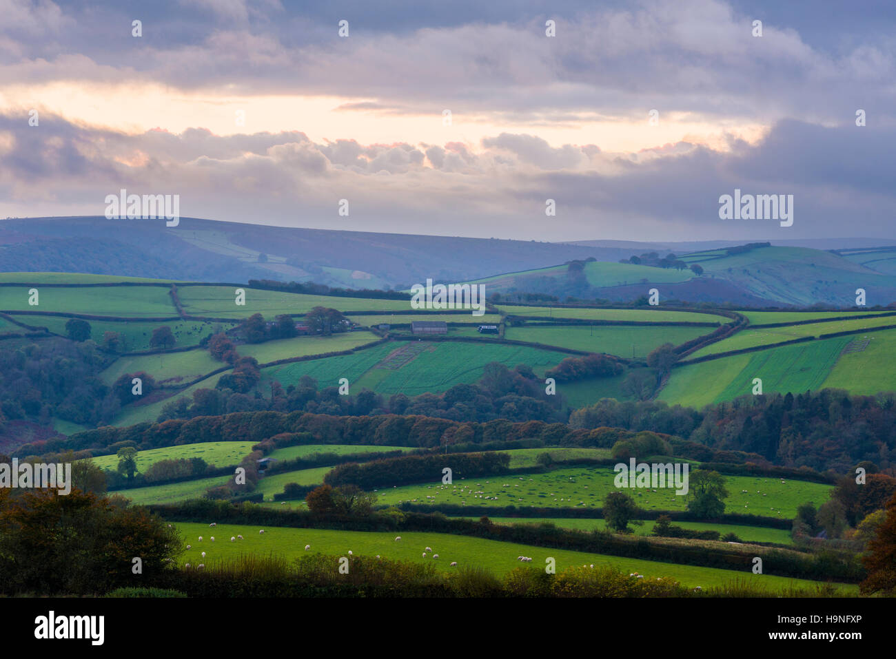 View south of the Brendon Hills and Exmoor National Park from Quarme ...