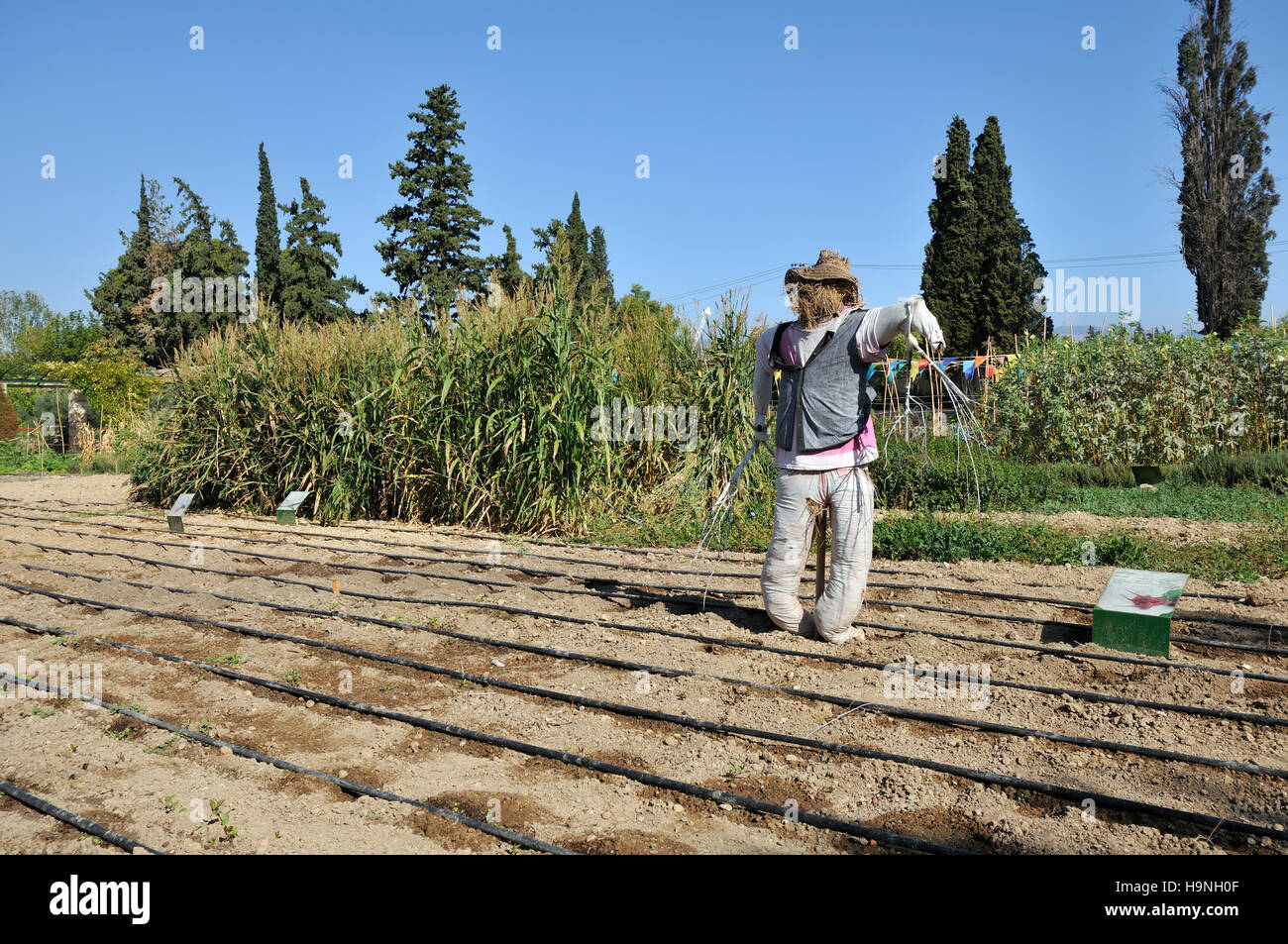 Scarecrow in Antonis Tritsis park in Athens, Greece Stock Photo - Alamy