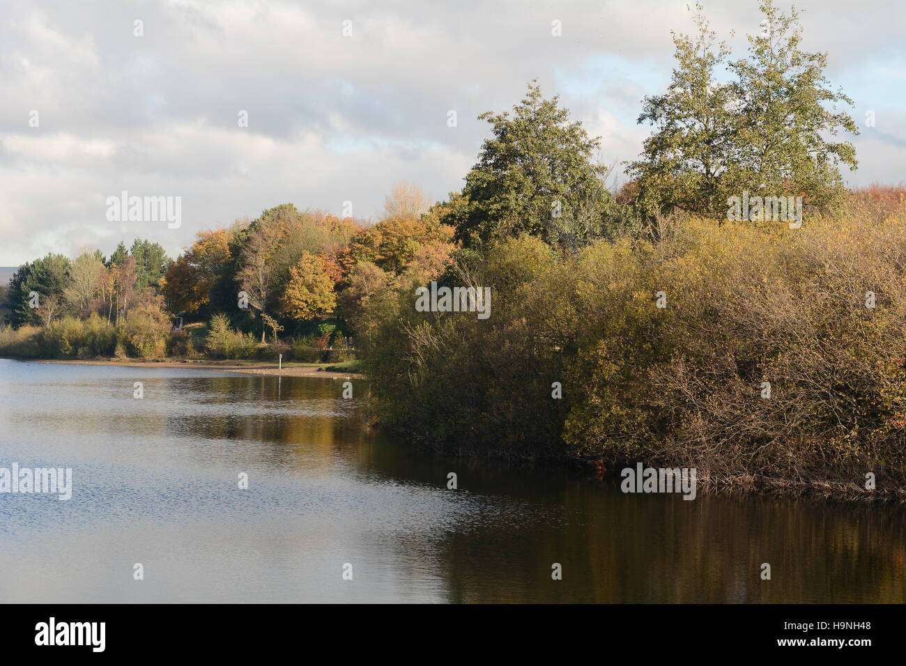 Hollingworth lake nature hi-res stock photography and images - Alamy