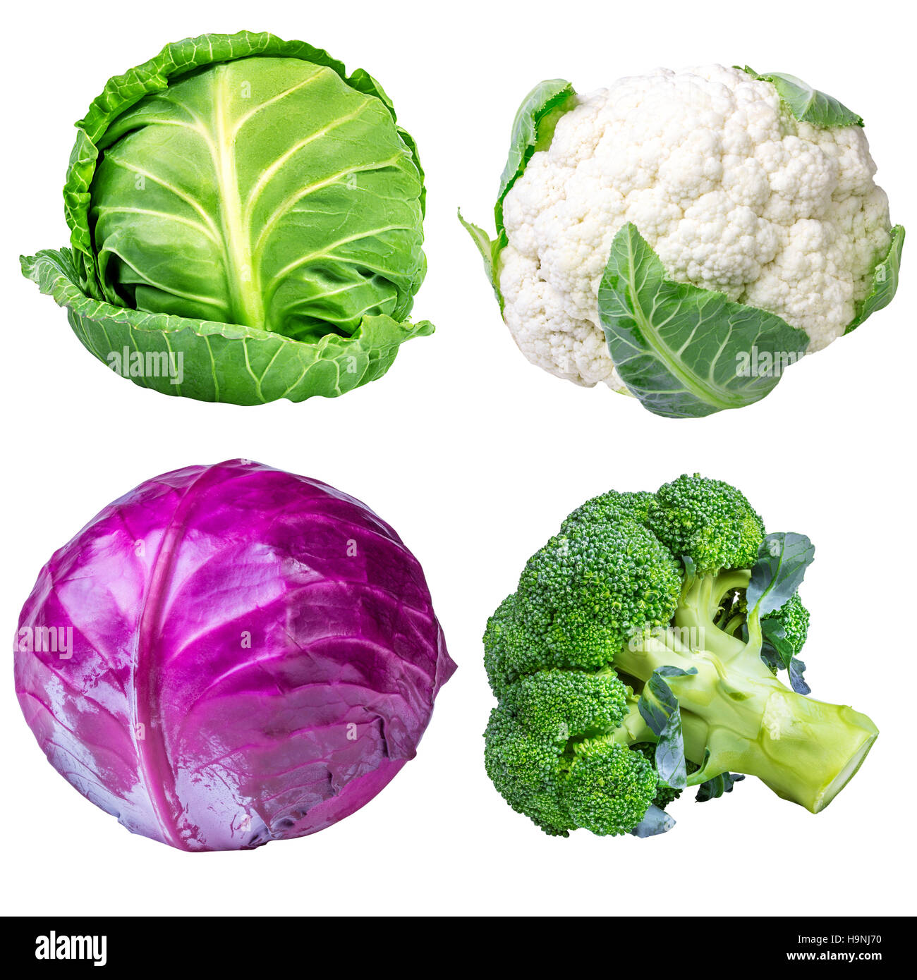 collection cabbages isolated on a white background Stock Photo - Alamy