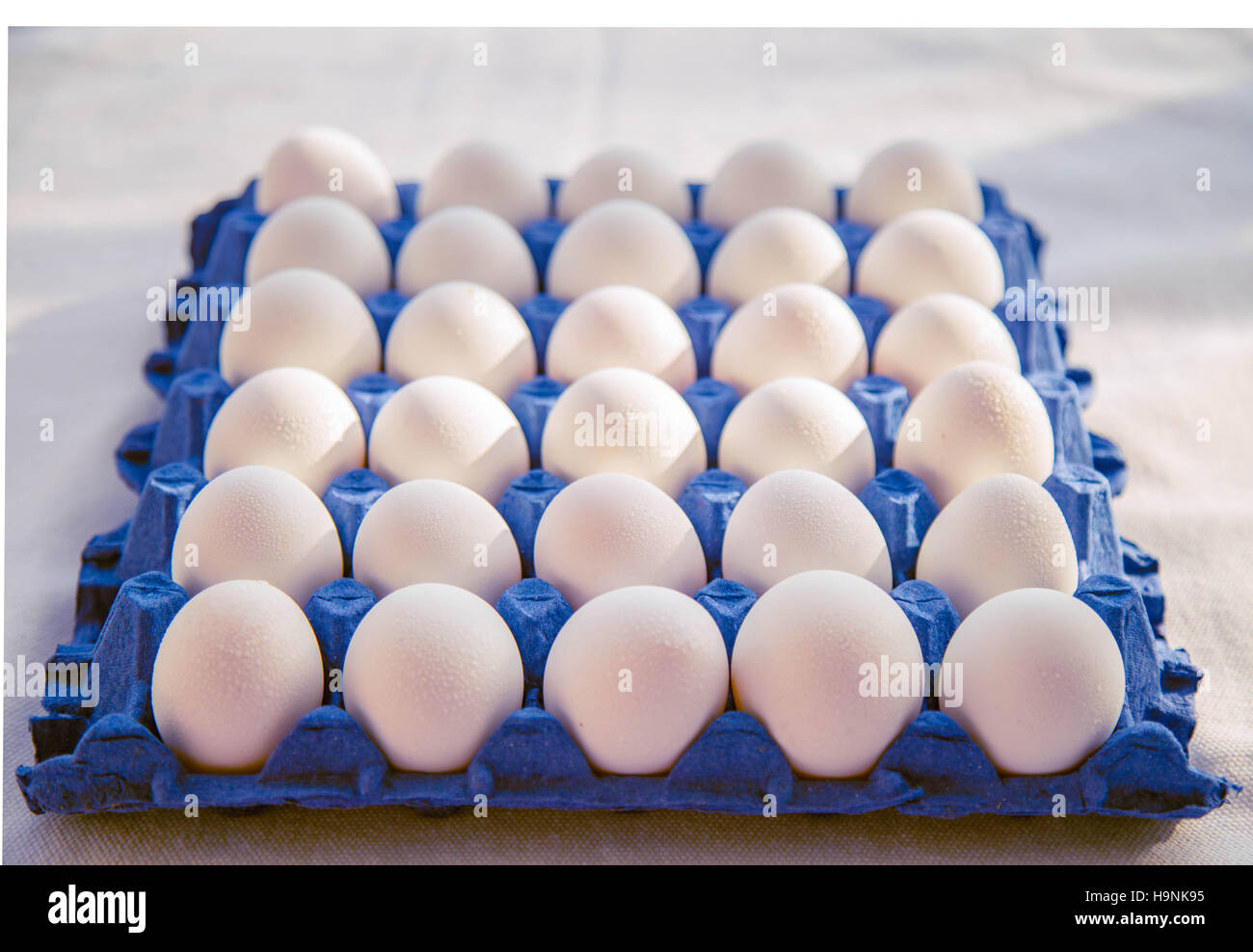 Easter blue white eggs in hi-res stock photography and images - Alamy