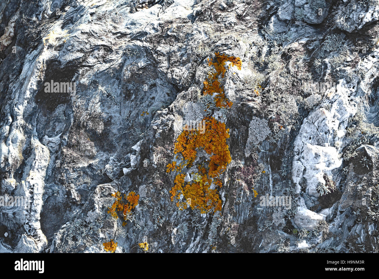 Rocks and lichen - shapes and colours Stock Photo - Alamy